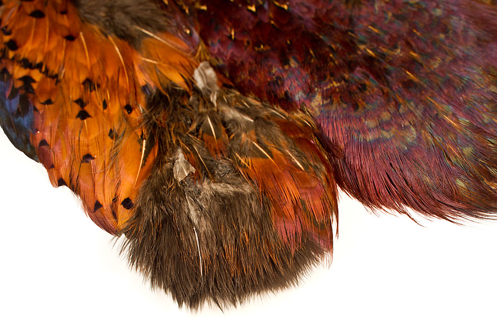 Alternative feather for cormorants | Fly Fishing Forum