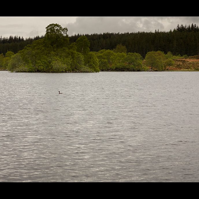 Loch Knockie – CapnFishy